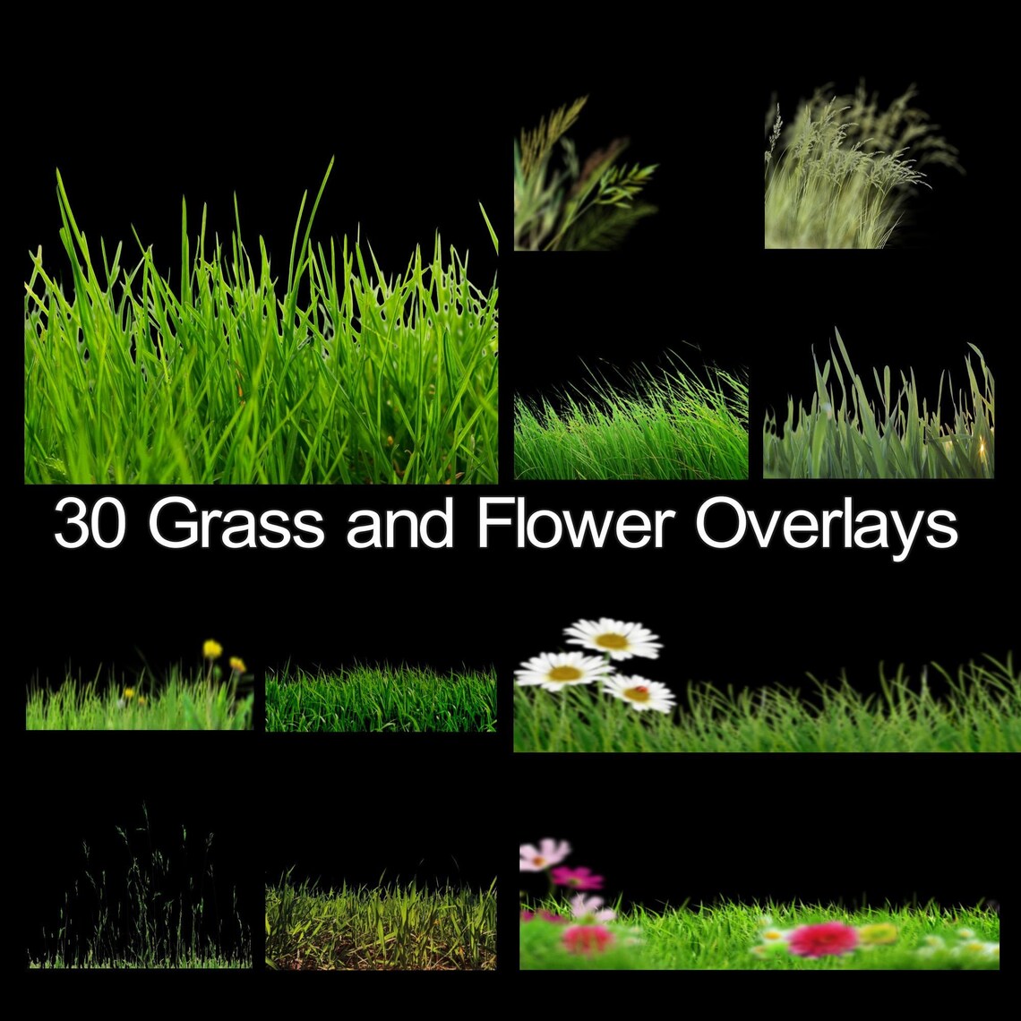 30 Grass and Flower Overlays for Photoshop Green Grass - Etsy