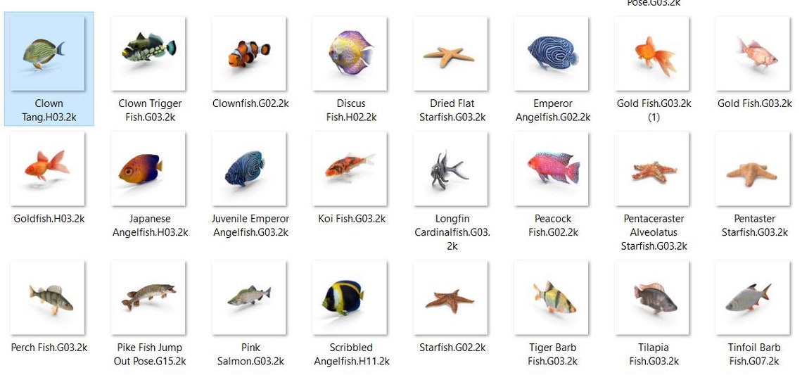 Fish Overlays Photoshop Overlays Transparent PNG - Etsy UK