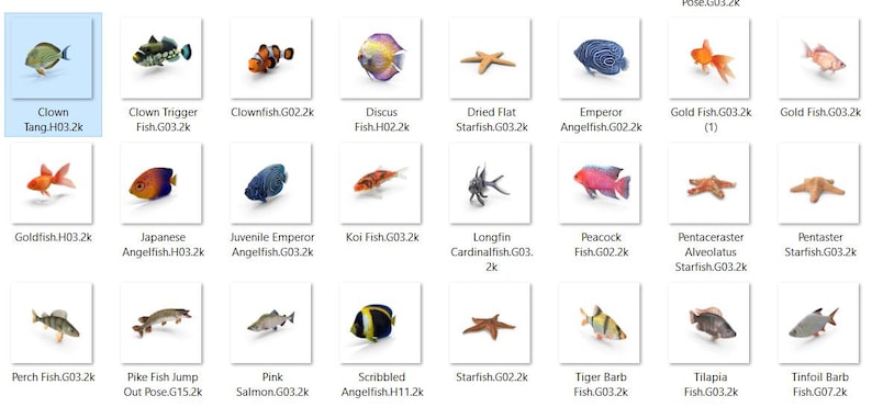 Fish Overlays Photoshop Overlays Transparent PNG - Etsy UK