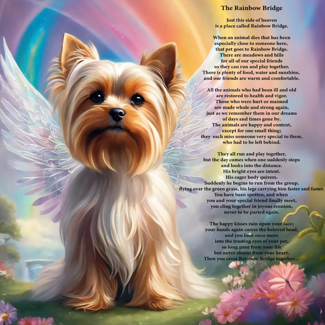 Poema del puente arco iris por la pérdida de una mascota, regalo de ...