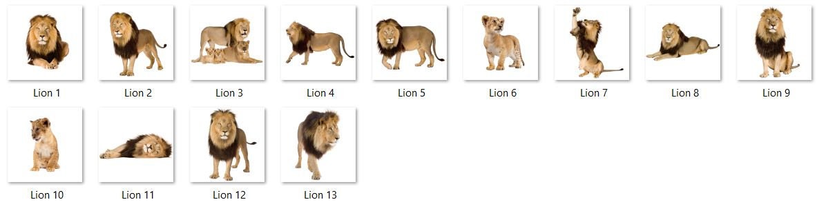 Lion Overlays for Photoshop Lion Overlays Lions Animal - Etsy UK