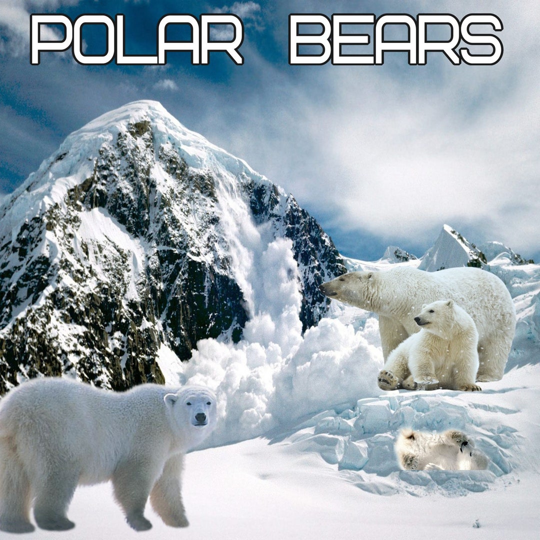 Polar Bear Overlays for Photoshop, Polar Bears, Photoshop Overlays ...