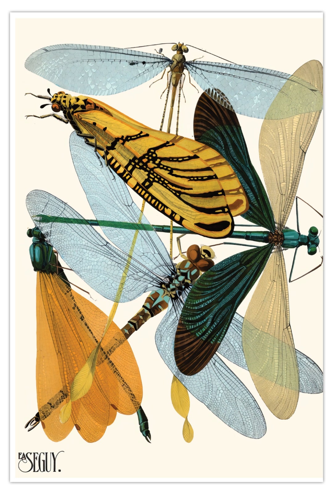 Libélula (dragonfly) Collection - Etsy