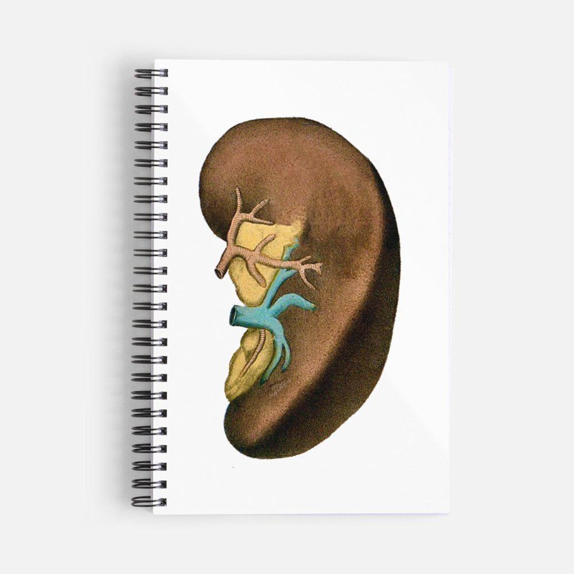Batelli's Spleen Collection - Etsy