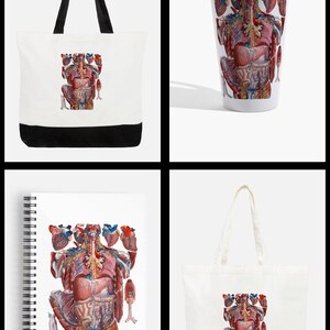 Human Viscera Collection - Etsy