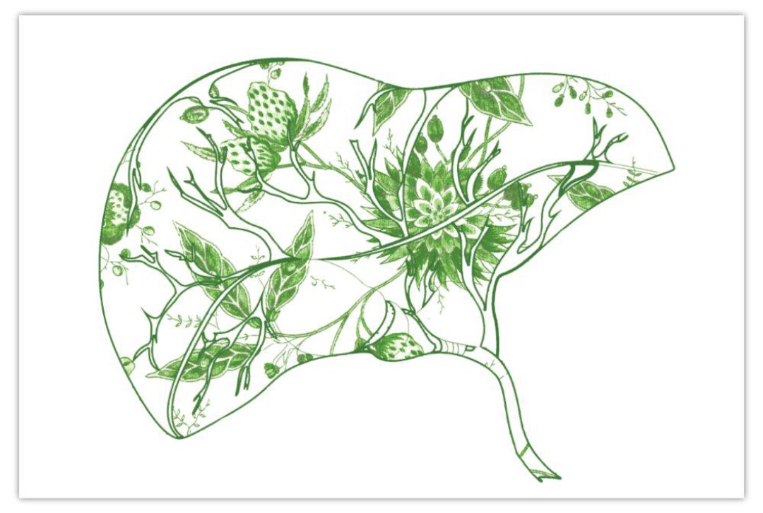 French Toile Liver Collection - Etsy