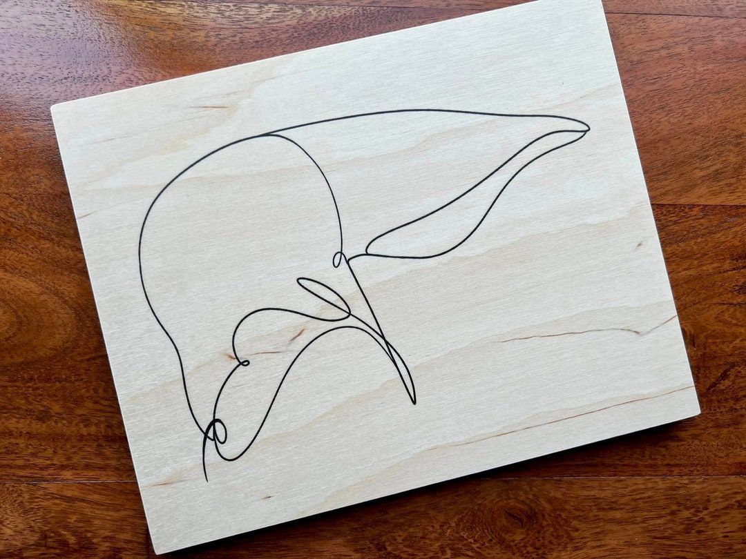 Minimalist Liver Collection - Etsy