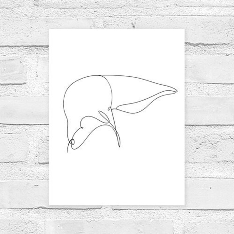 Minimalist Liver Collection - Etsy