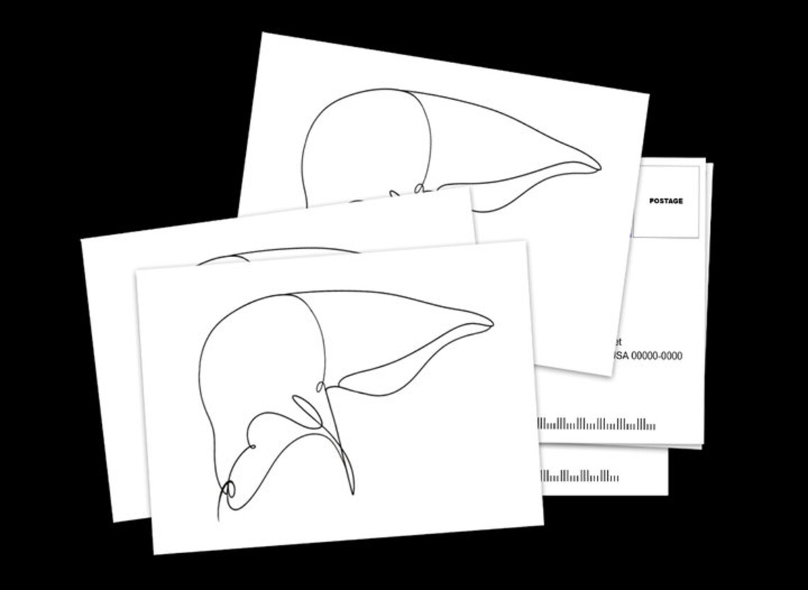 Minimalist Liver Collection - Etsy