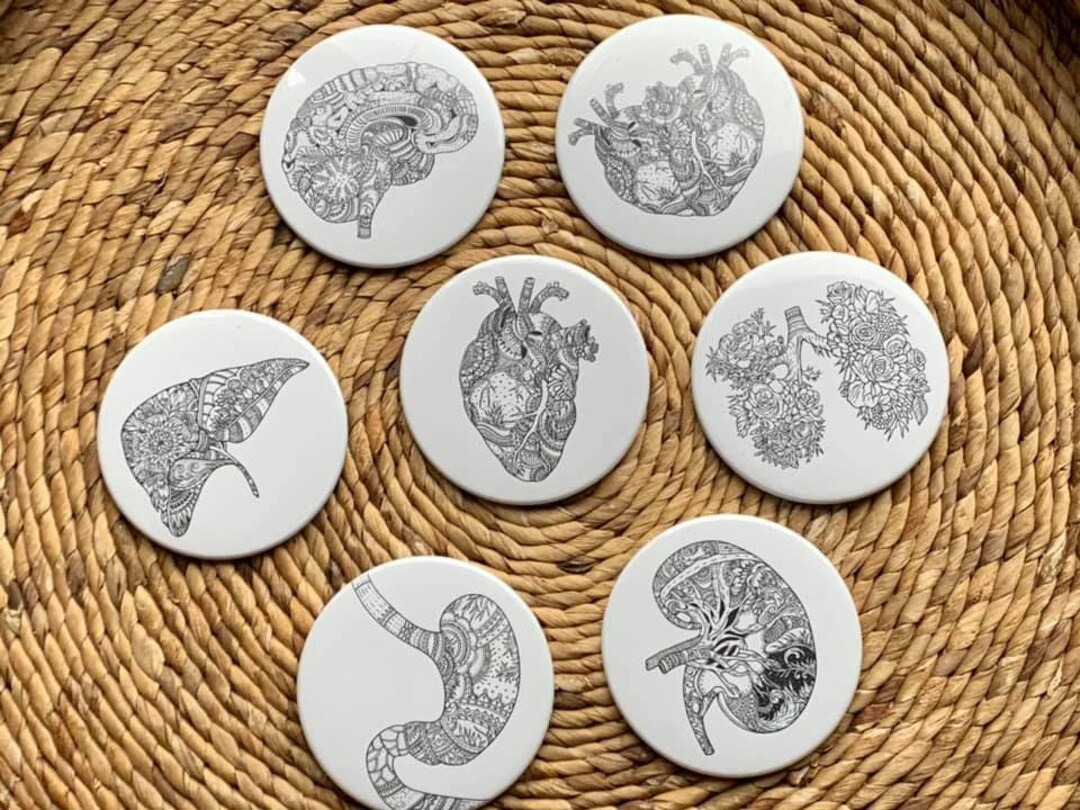Round Anatomy Art Coasters - Etsy