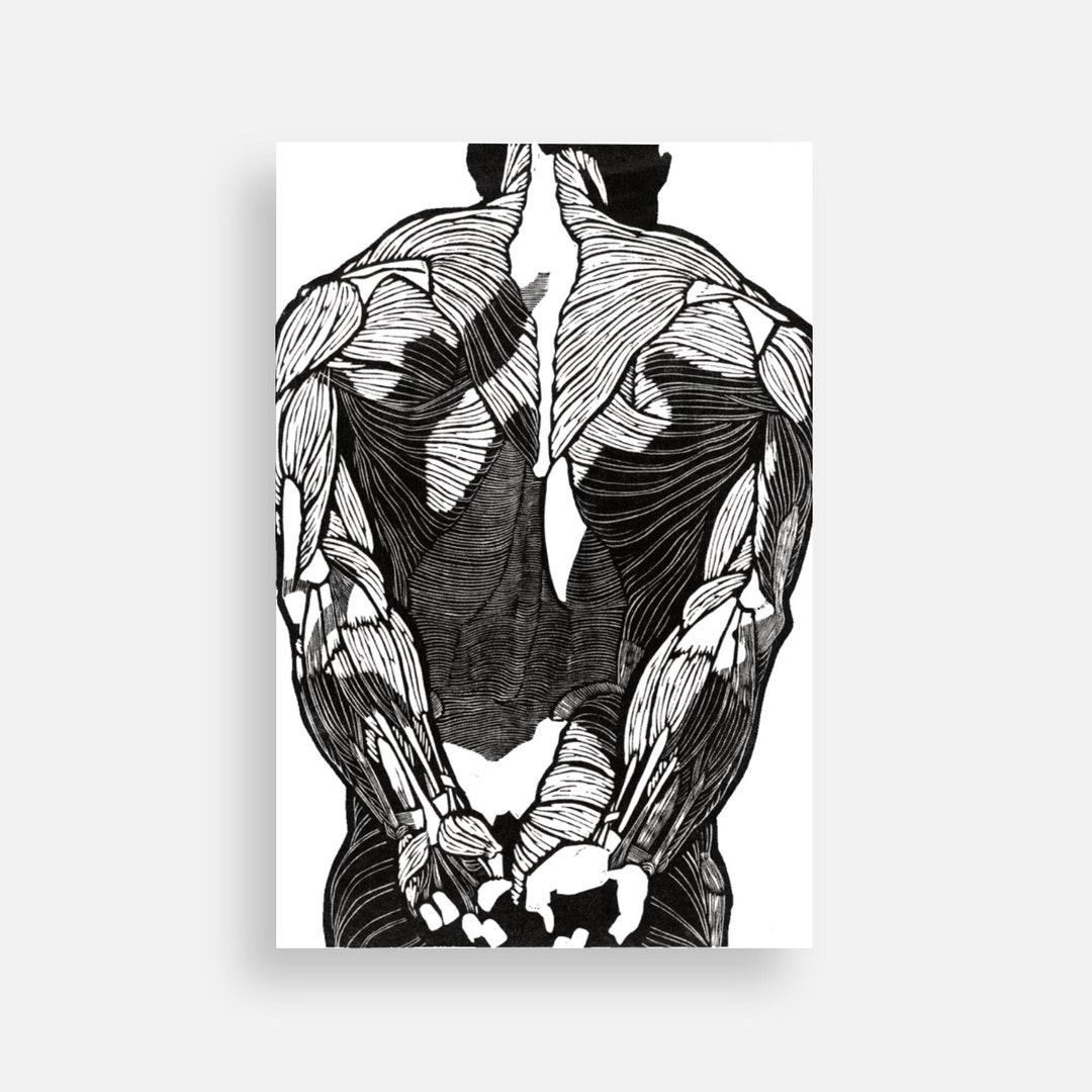 Dutch Anatomy Collection - Etsy