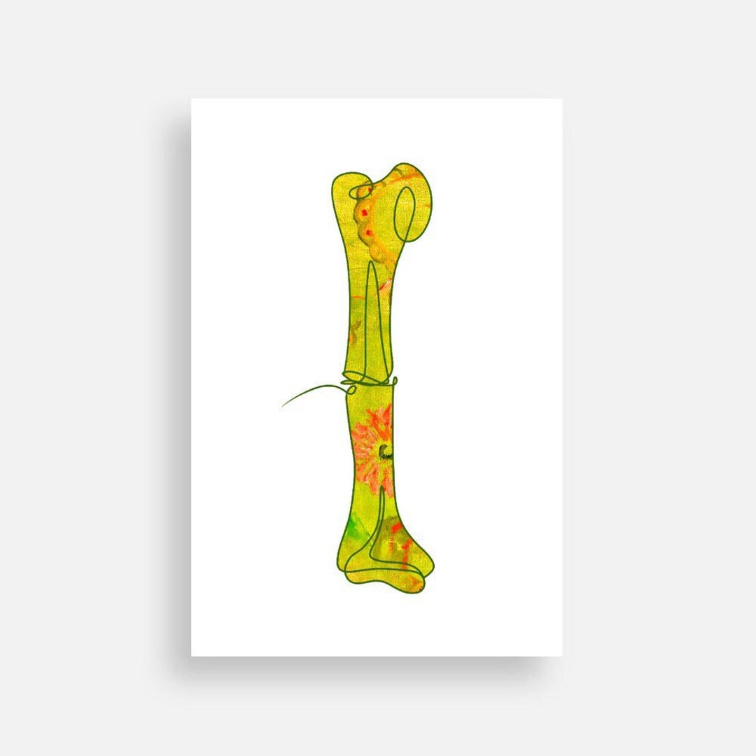 Postman Bone Marrow Collection - Etsy