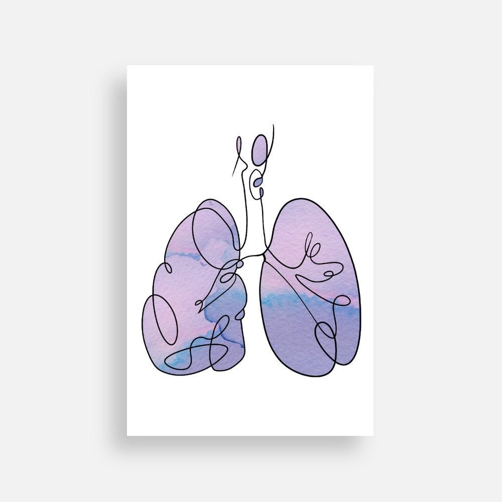 Respiratory System Model Clay