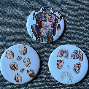 Human Viscera Collection - Etsy