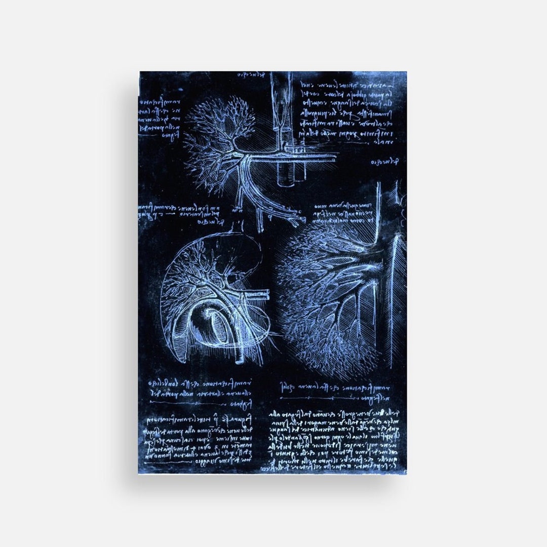Da Vinci's Vessels of the Liver Collection - Etsy