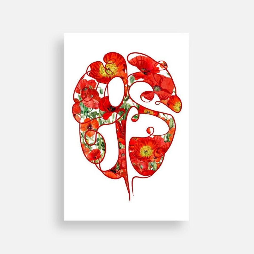 Coquelicot (poppy) Brain Collection - Etsy