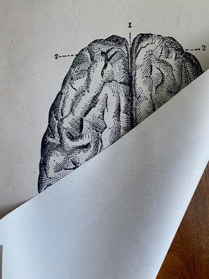Vintage Anatomical Brain Art Print | Etsy