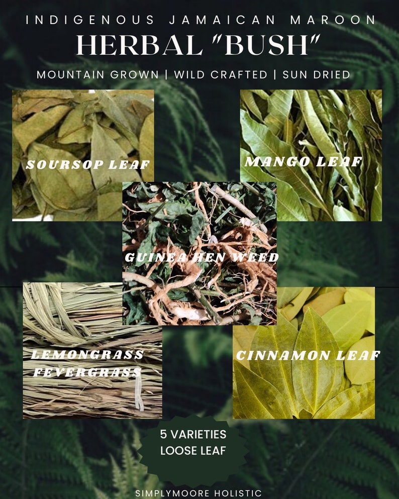 Jamaican Herb, Bush, Apothecary Guinea Hen Weed, Soursop Leaf, Mango ...