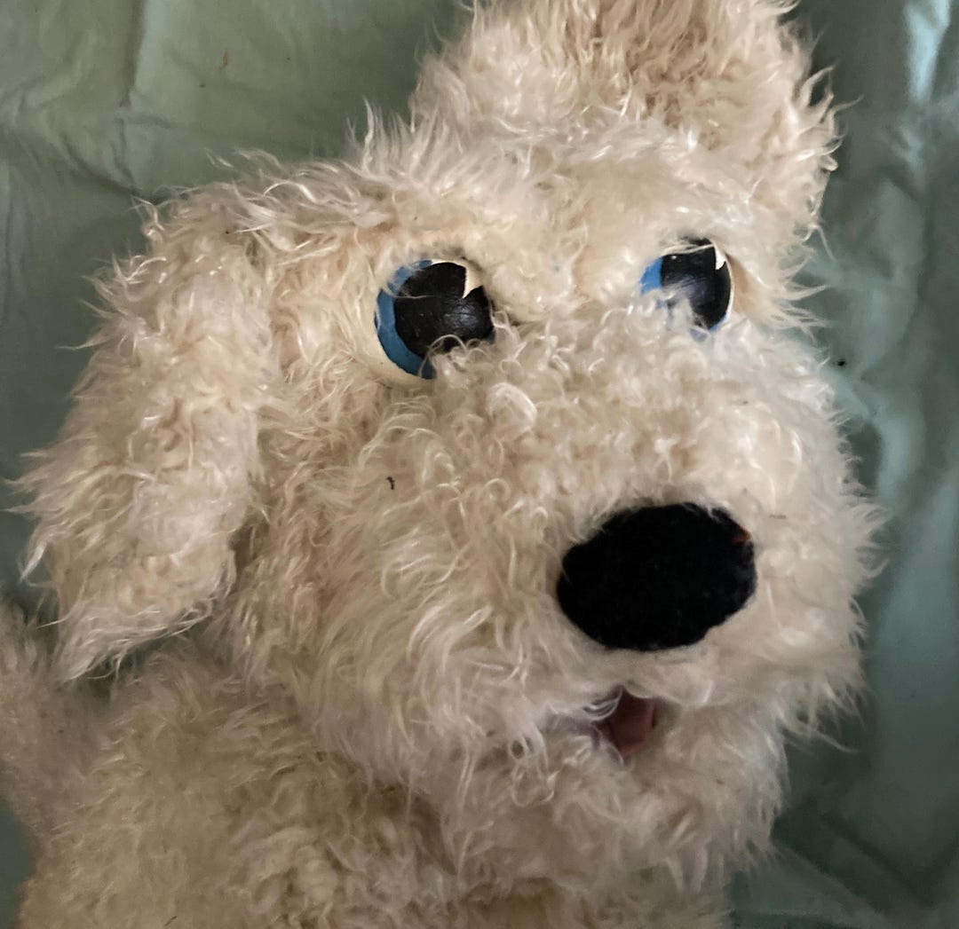 Hand Puppet, Mouth Puppet, Muppet-style - Etsy