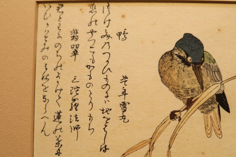 Japanese Vintage Art of Birds Kingfisher Duck and Kanji - Etsy