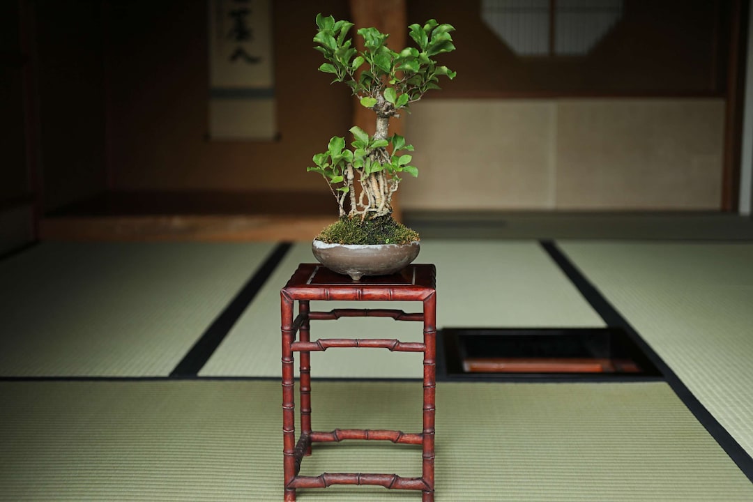 Japanese Furniture Wooden Decoration Stand KARAKI Bamboo Designed ...