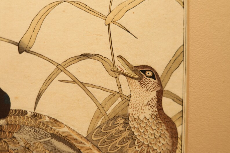 Japanese Vintage Art of Birds Kingfisher Duck and Kanji - Etsy