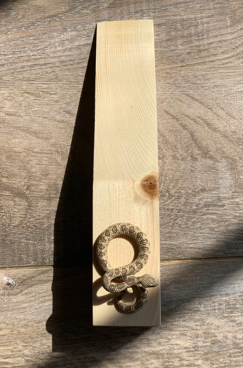 Rattle Snake Door Stop (choose Your Colour Wood) - Etsy