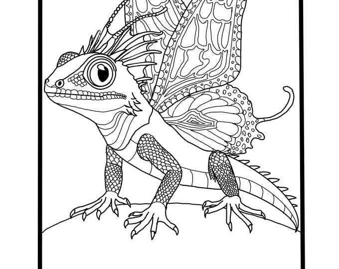 Coloring for Any Age: Lizard Butterfly Hybrid, Coloring Page, Line Art ...