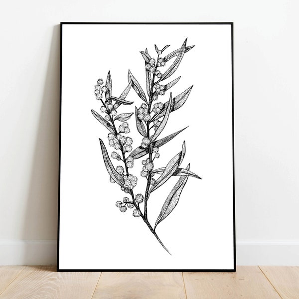 Wattle Drawing - Etsy Australia