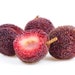 Yangmei 杨梅 Seeds Chinese Bayberry Scarified or Dehulled Your Choice ...