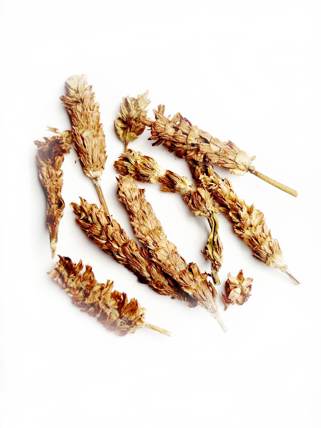 Self Heal Tea Dried Flowers Spikes Self Heal All Herb Prunella Vulgaris ...