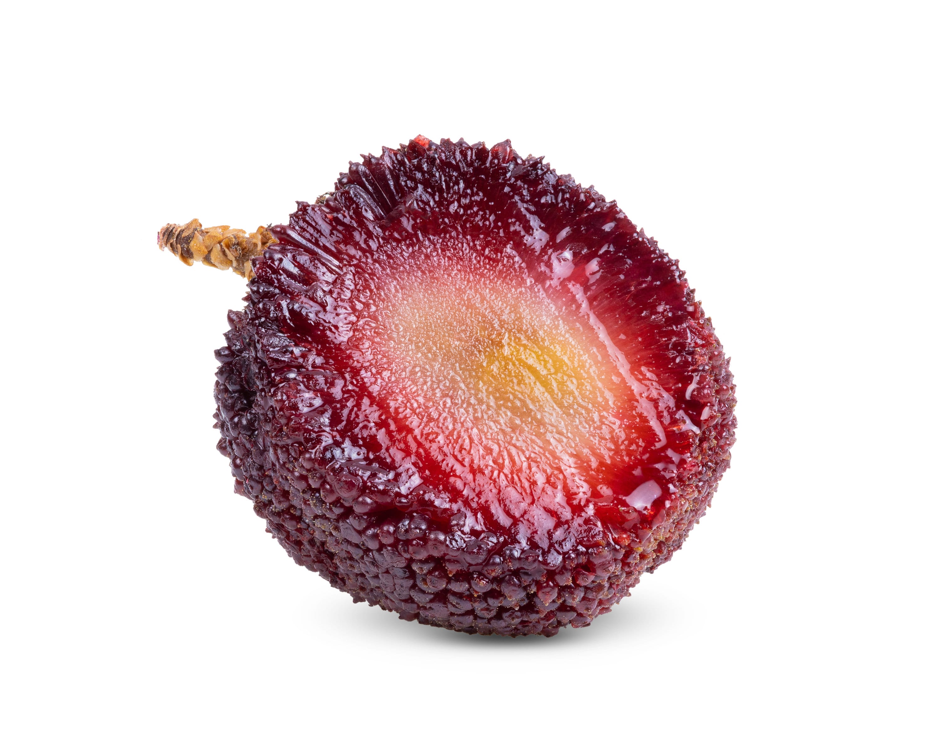 Yangmei 杨梅 Seeds Chinese Bayberry Scarified or Dehulled Your Choice ...
