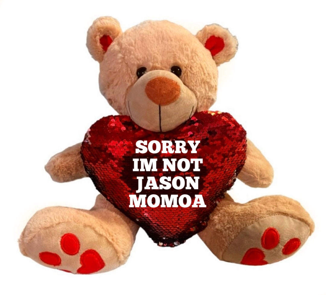 Not Jason Momoa Funny Teddy Bear, Personalized Gifts, Gifts for Her ...