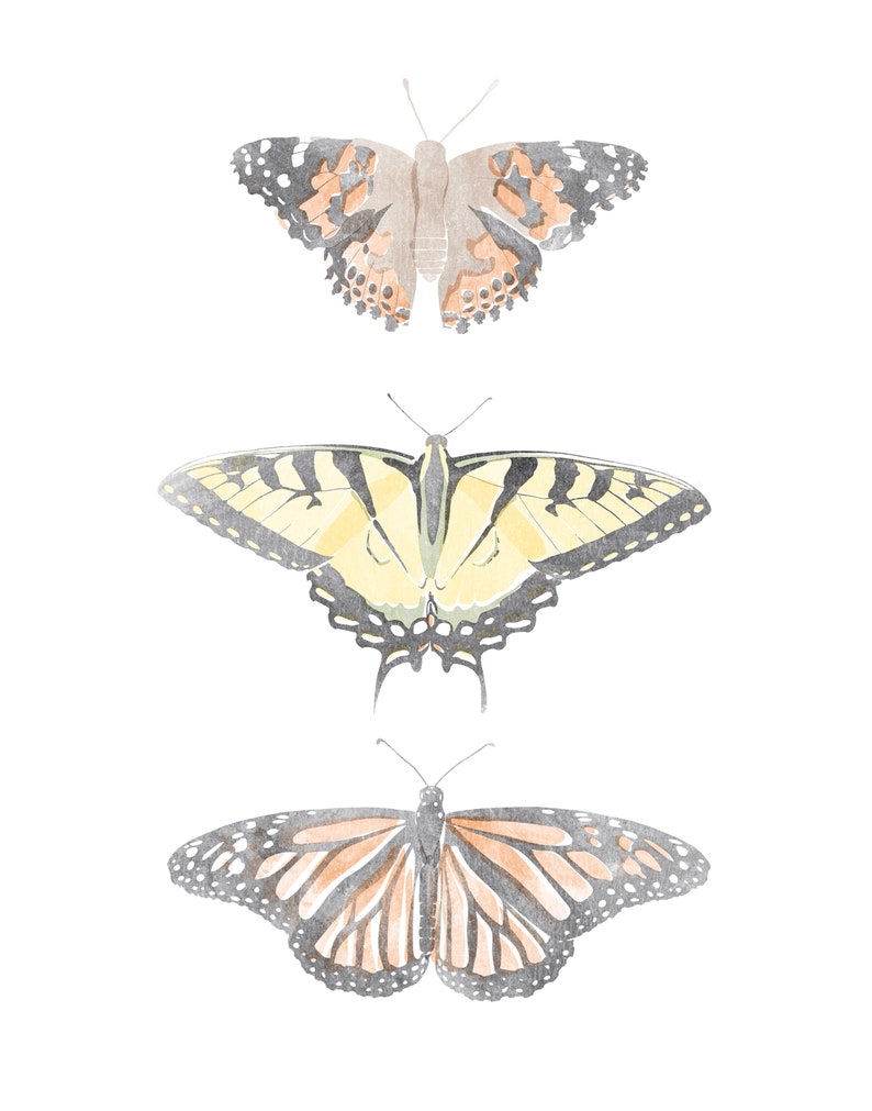 Butterfly Printable - Etsy
