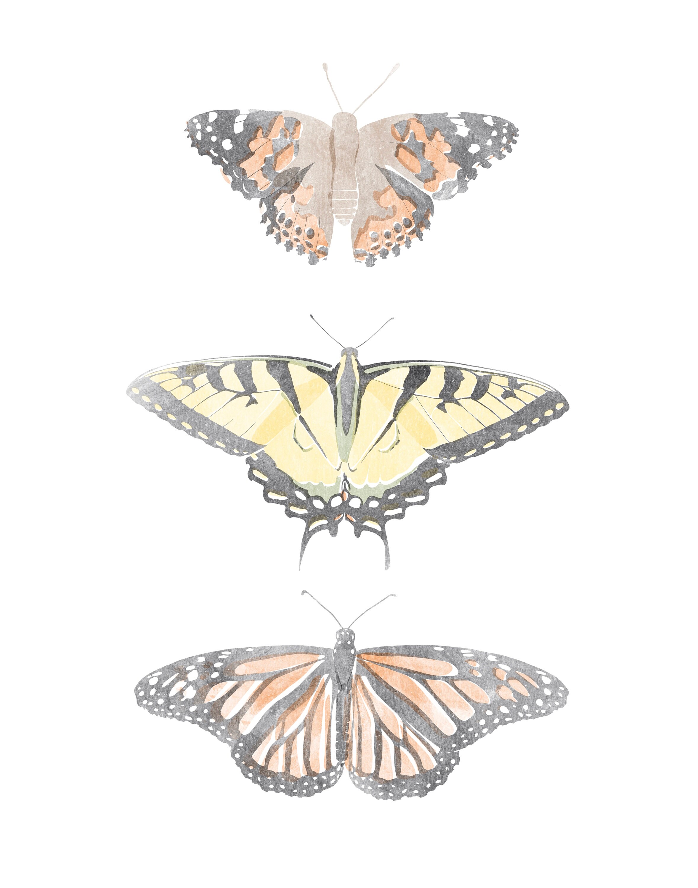 Butterfly Printable | Etsy