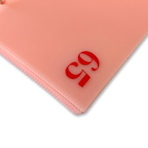 You Totally Can 1.5K Savings Binder | Save & Stuff | Budget With Ira - Etsy