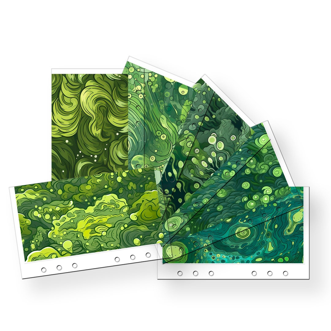Green Slime A6 Cash Envelope Set: Laminated Budget Organizer - Etsy UK