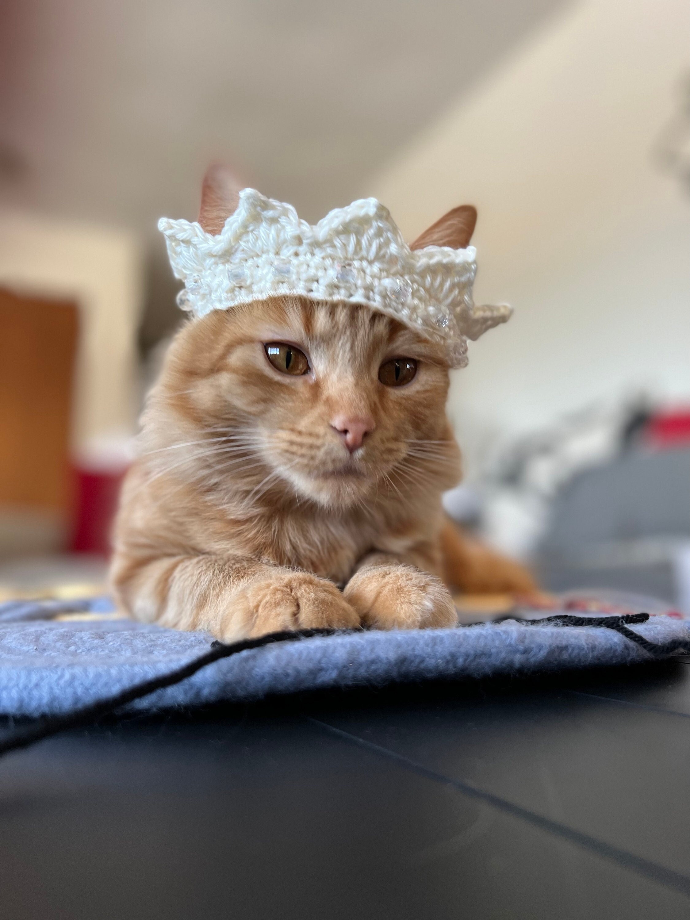 Crochet Cat Crown Pattern: Beaded Pet Hat, Photo Prop (instant Download ...