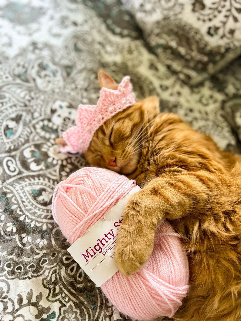 Crochet Cat Crown Pattern: Beaded Pet Hat, Photo Prop (instant Download ...