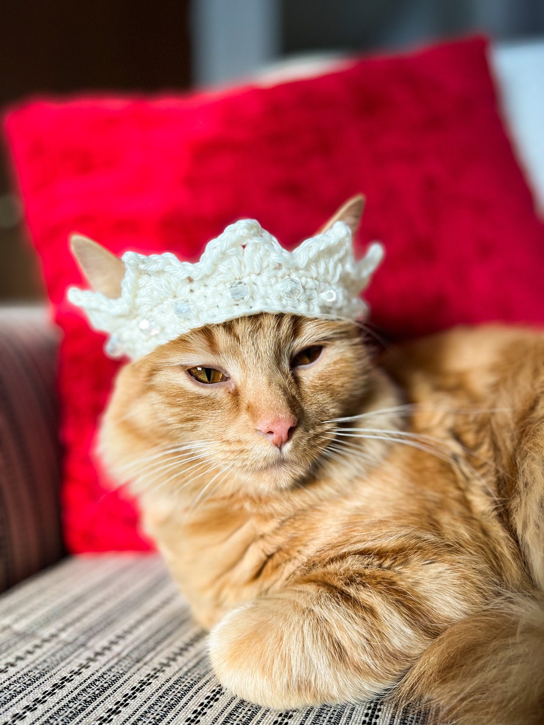 Crochet Cat Crown Pattern: Beaded Pet Hat, Photo Prop (instant Download ...
