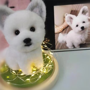 Customized Needle Felted Wool. Perfect Gift for Friends and - Etsy