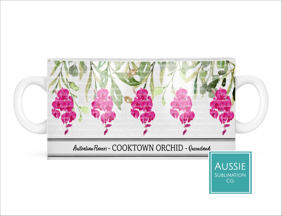 Australian COOKTOWN ORCHID Queensland Flower State Territory - Etsy