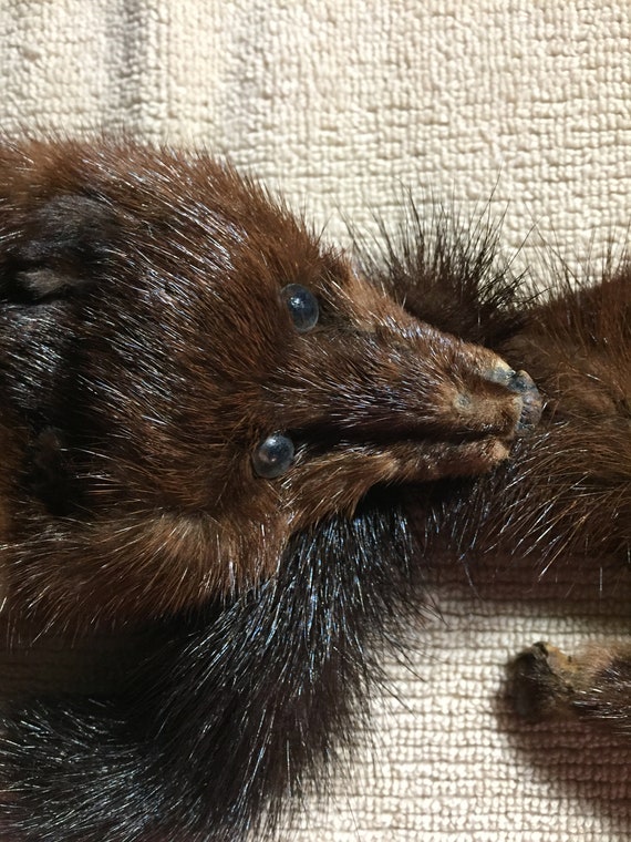 Vintage 3 Full Body Mink Stole - Gem