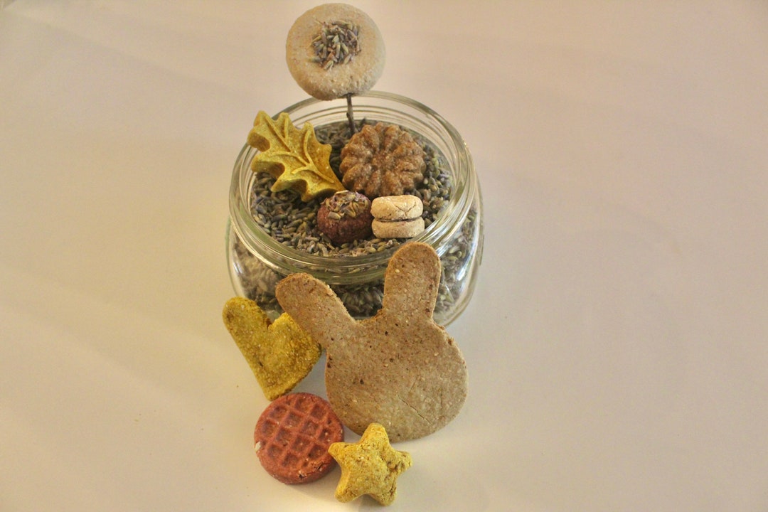 Loot Box | Assorted Treats for Rabbits, Guinea Pigs, Hamsters, and Any ...