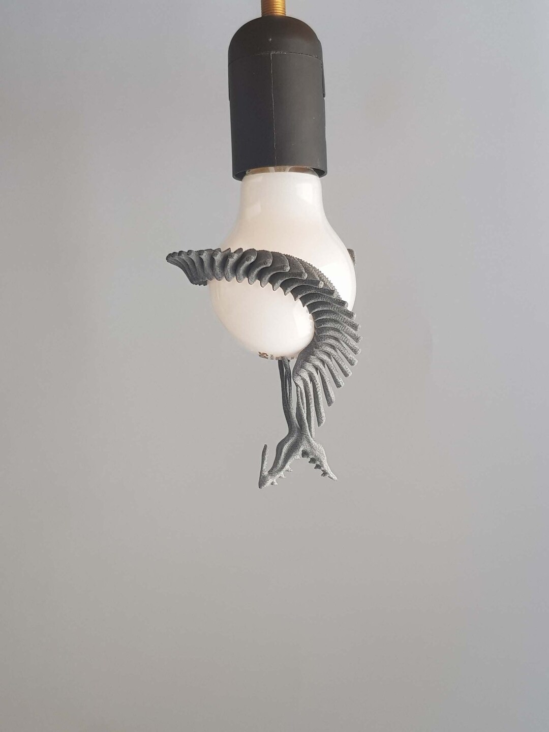 Litebulber Fibonacci Dragon - Etsy