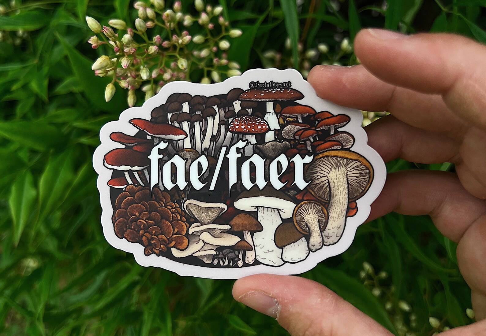 Fae Faer Pronouns Vinyl Sticker Cottagecore Sticker Fae/faer | Etsy