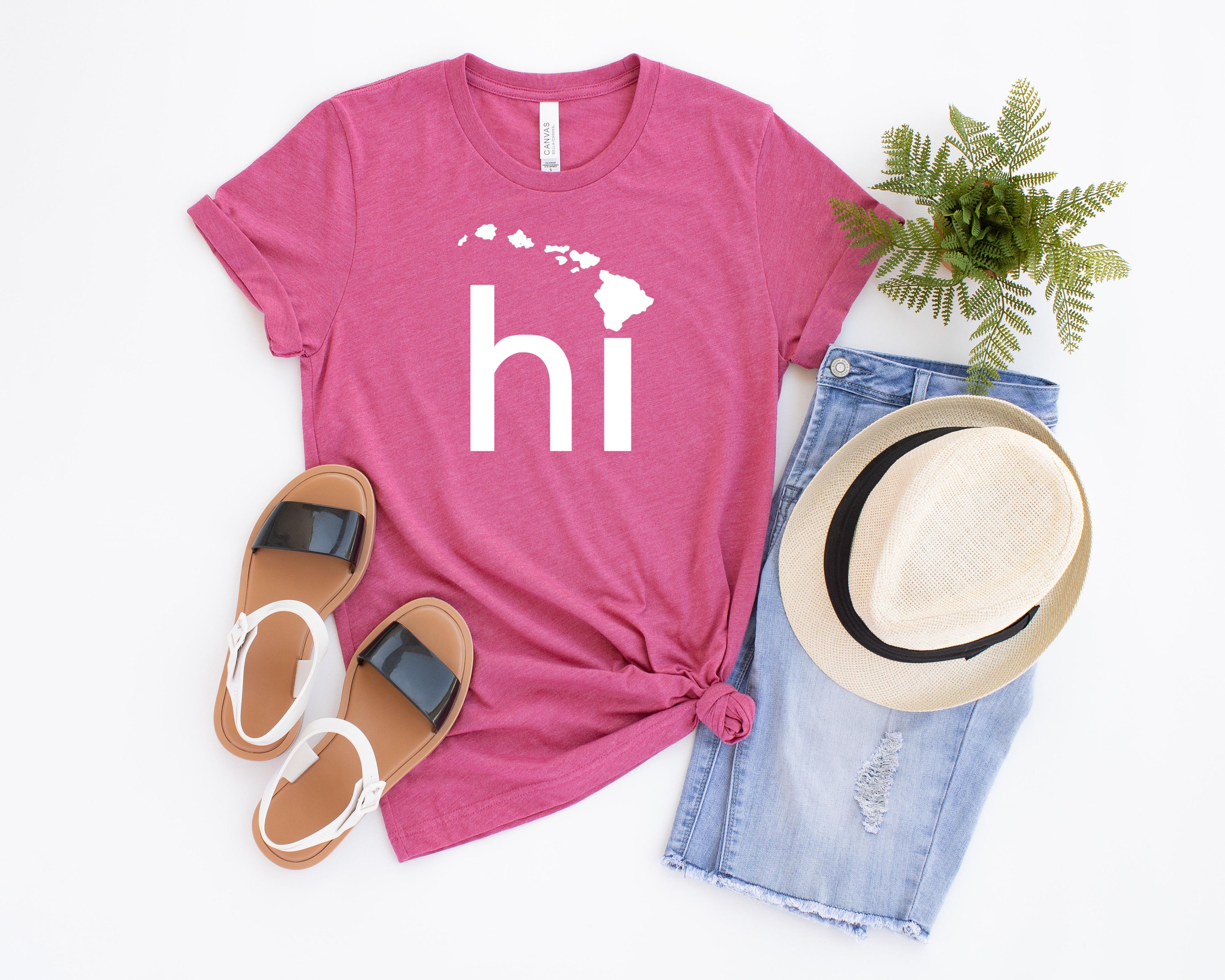 Hawaii Shirt HI Shirt Hawaii Graphic Tee Hawaii State | Etsy