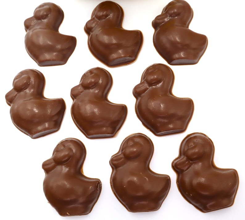 Half Pound Baby Ducks Milk or Dark Chocolate Individually Wrapped - Etsy