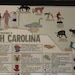 North Carolina Art Print: Cryptids and Creatures of North Carolina - Etsy