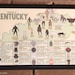 Kentucky Art Print: Cryptids and Creatures of Kentucky - Etsy